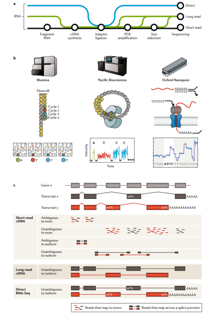 经典回顾丨5年前的经典综述，命中了如今的RNA-seq发展方向 - 知乎