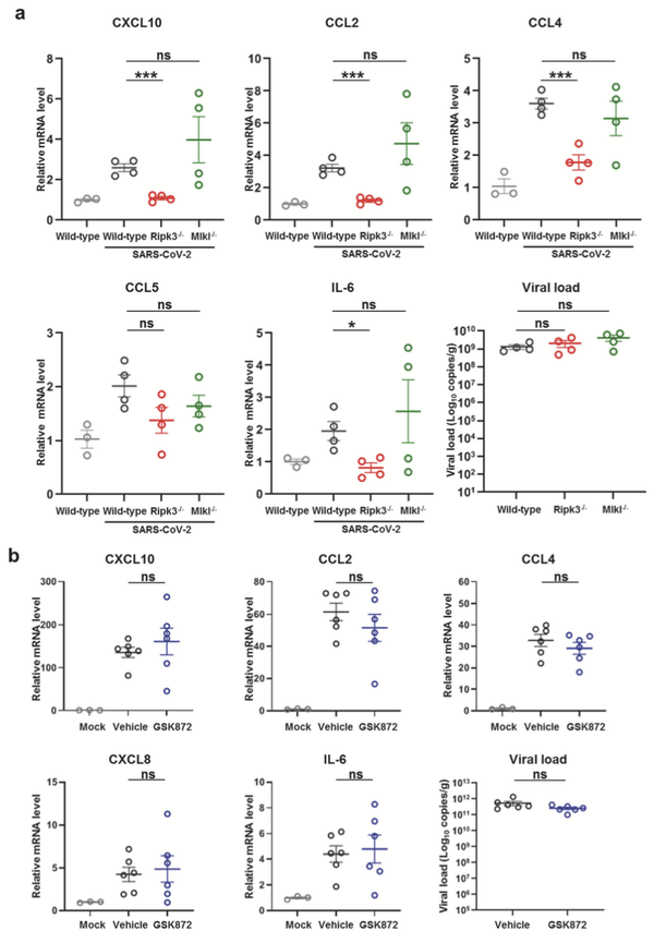 国产顶刊Cell Research丨SARS-CoV-2 Z-RNA 激活 ZBP1-RIPK3 通路以促进病毒诱导的炎症反应 - 知乎