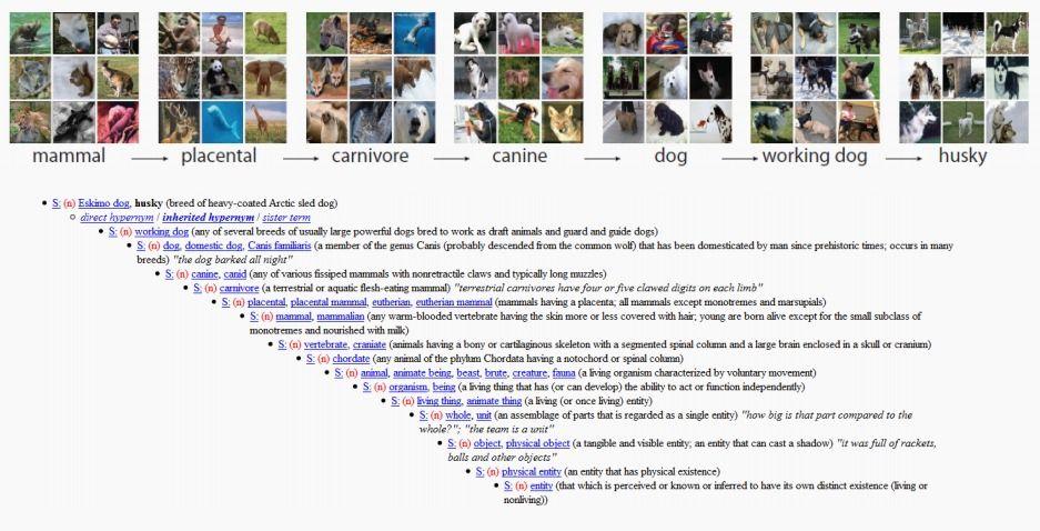 ImageNet这八年：李飞飞和她改变的AI世界 - 知乎