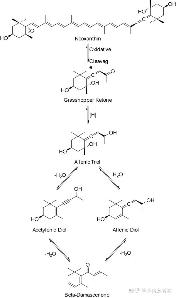 香精与香料(53)—突厥烯酮(Damascenone)与突厥酮(Damascone) - 知乎