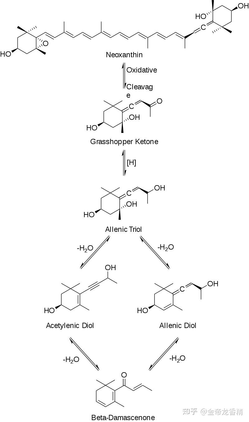 香精与香料(53)—突厥烯酮(Damascenone)与突厥酮(Damascone) - 知乎