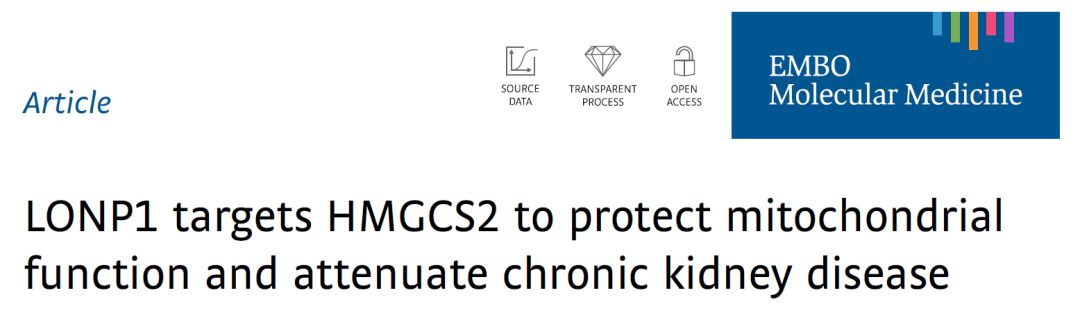 EMBO Mol Med | 南京医科大学张爱华/贾占军教授蛋白质组学发现慢性肾脏疾病的潜在治疗靶点 - 知乎