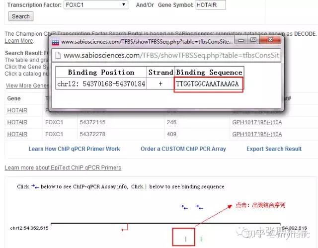 如何查找基因的启动子及预测转录因子？ - 知乎