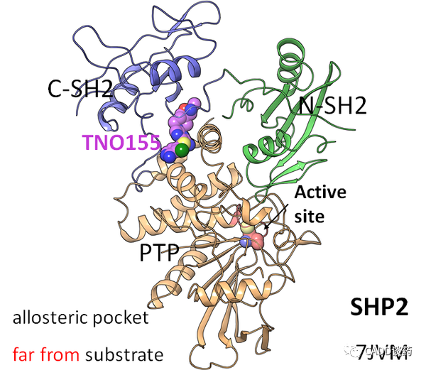 难成药靶点Phosphatase | 诺华SHP2 + 艾伯维PTPN2 - 知乎