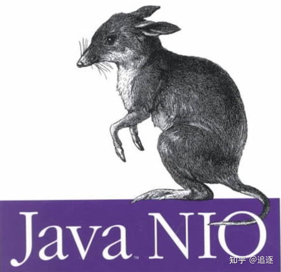 搞清楚Java NIO原理与简单实现 - 知乎