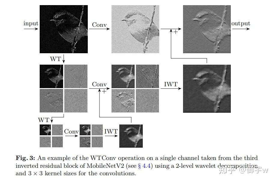 (即插即用模块-Convolution部分) 十七、(2024 ECCV) WTConv 小波变换卷积 - 知乎