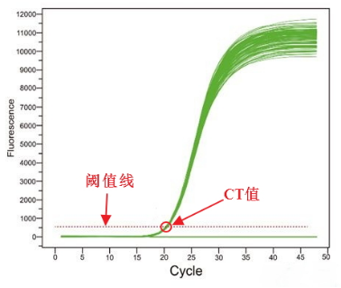 核酸检测Ct值是什么意思？新冠Ct值的定义及特点 - 知乎