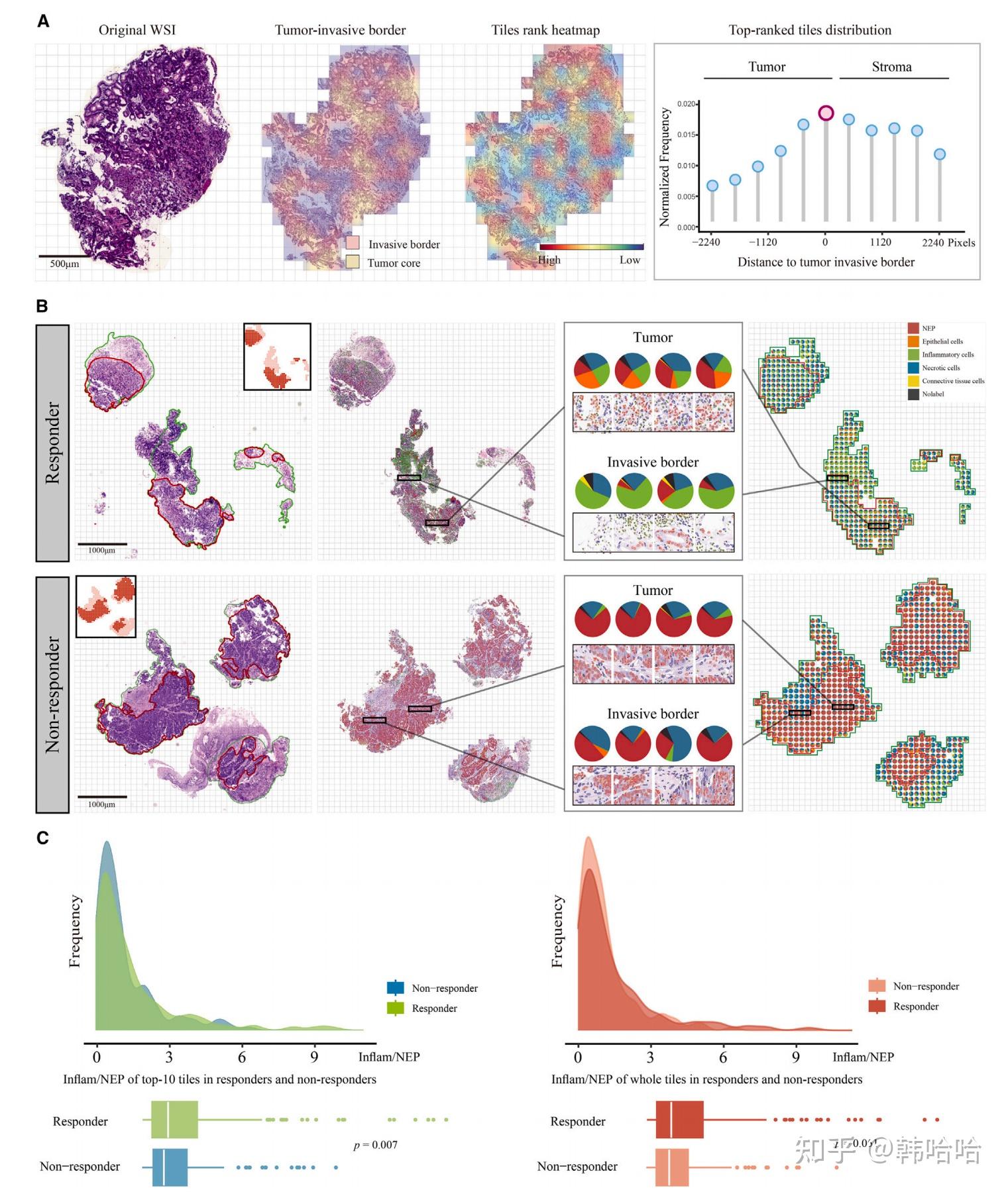 HoVer-Net_安装与应用 - 知乎