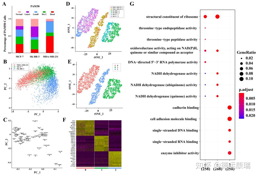 Paired-seq“玩转”单细胞转录组和蛋白组联合分析 - 知乎