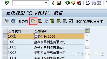 SAP FI总账后台配置 - 知乎