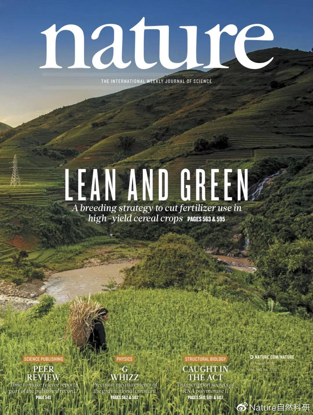 这些登上Nature封面的中国研究成果，你还记得吗？ - 知乎