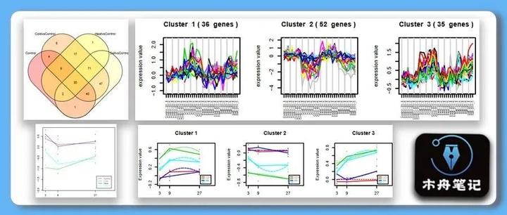 R实战 | NGS数据时间序列分析(maSigPro) - 知乎