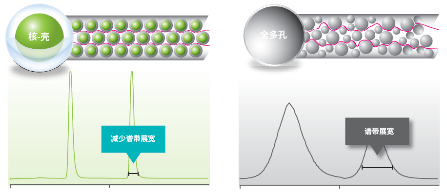 治疗性寡核苷酸药物的HPLC分析方法及生物样本分析解决方案—Clarity OTX用于SPE详解 - 知乎