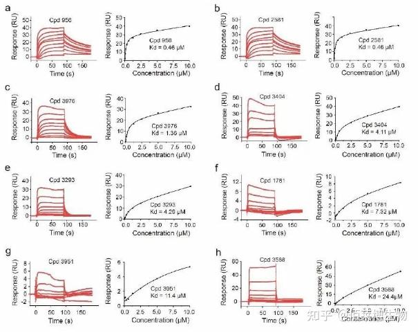 膜蛋白SPR实验：GPCR与化合物互作分析 - 知乎