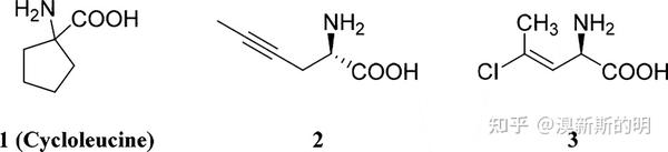 甲硫氨酸腺苷转移酶2A (MAT2A)作为抗癌靶点的结构、功能和抑制剂 - 知乎