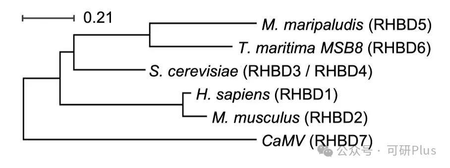 Mol Ther | 突破碱基编辑"盲区"！中山大学团队巧用RNA结合域，让基因编辑精准度再升级! - 知乎