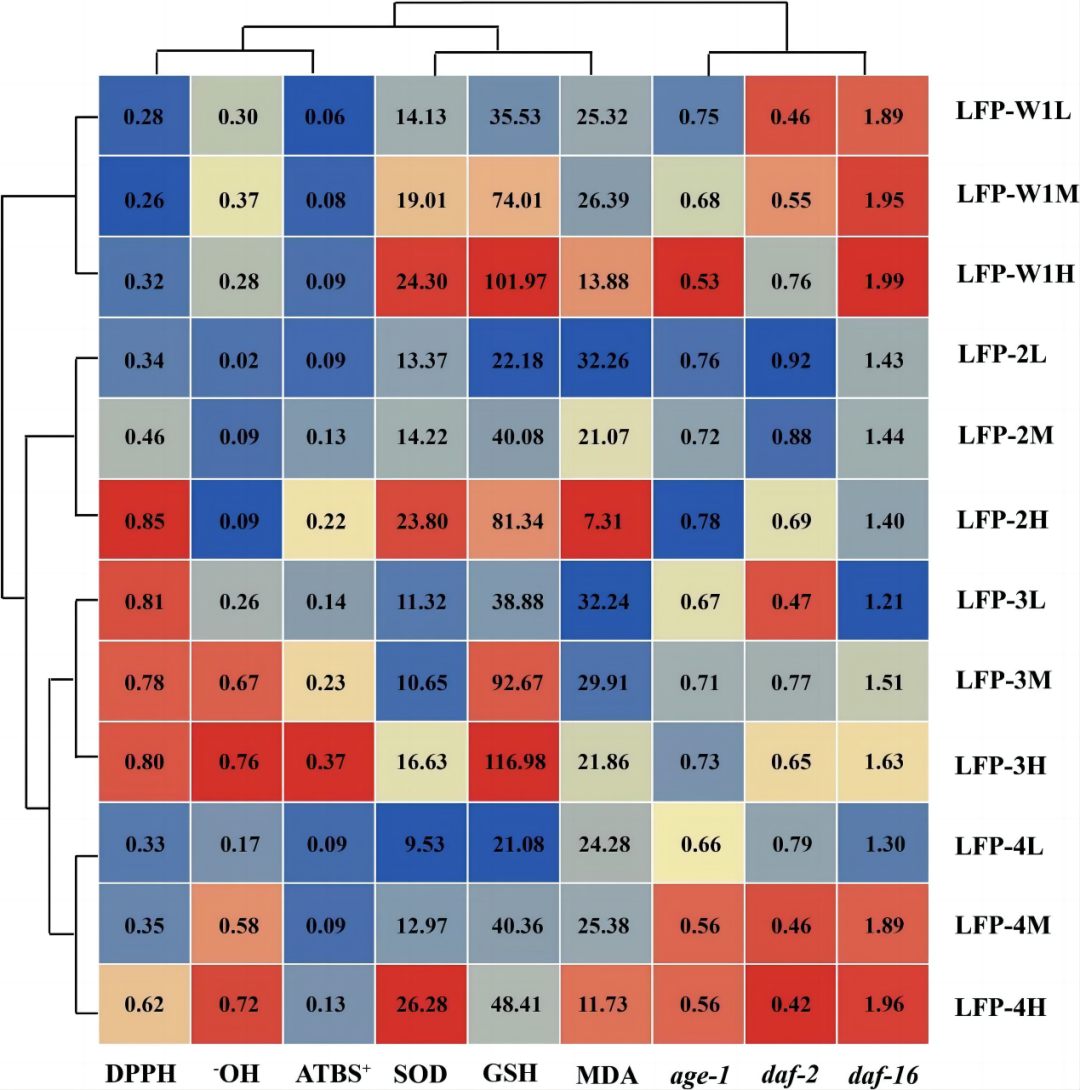 文献解读 | 枸杞多糖的结构解析及抗衰老活性机制研究 - 知乎