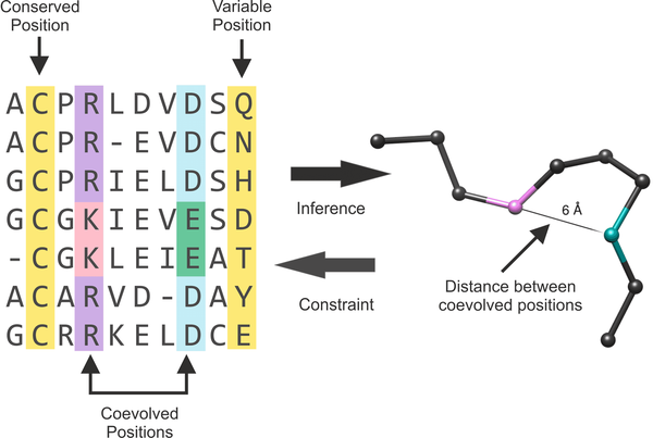 理解AlphaFold2 - 知乎