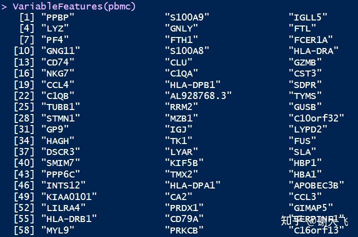 V5和V4版Seurat对象内部结构对比详细版 - 知乎