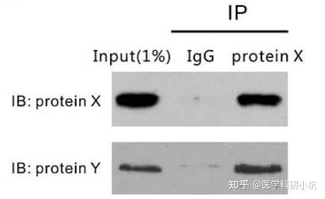 一文读懂CoIP实验 || 原理、实验流程、遇到的问题 - 知乎