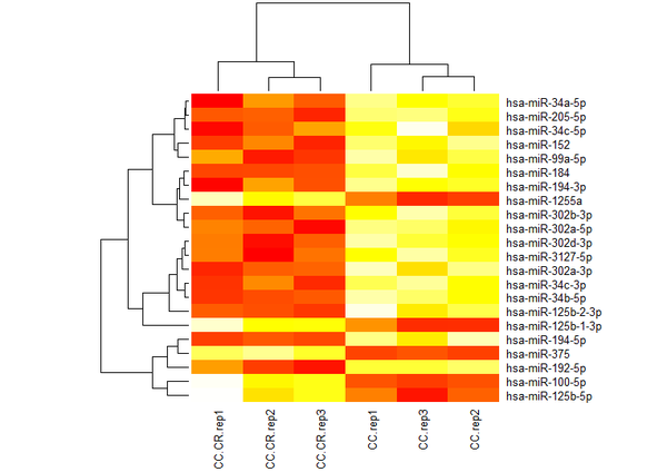 【R语言】热图绘制-heatmap函数+默认配色方案 - 知乎