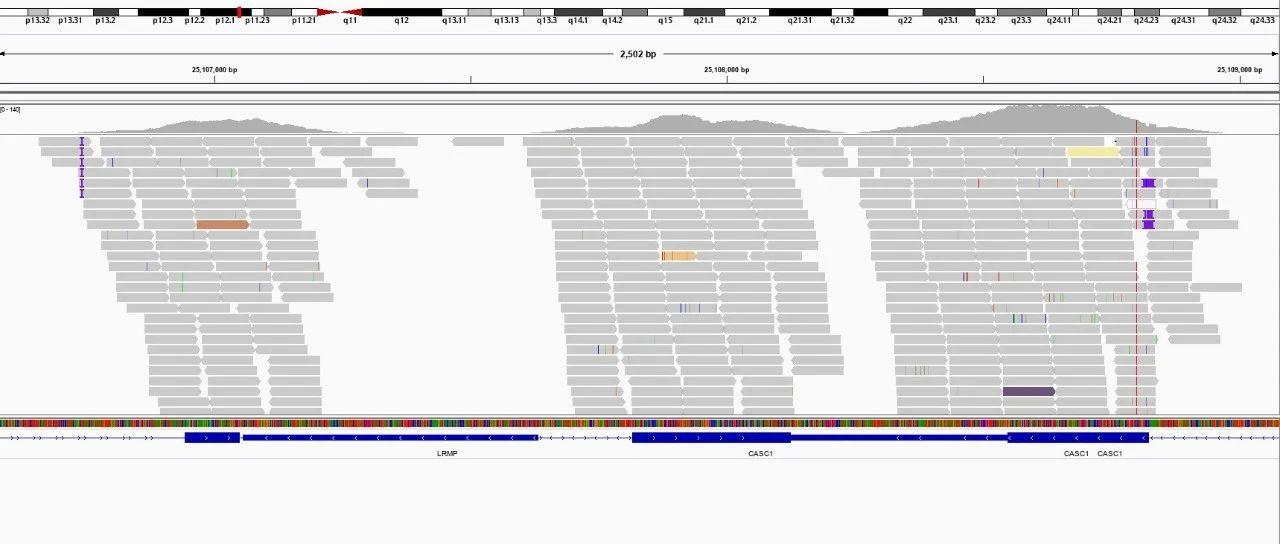 基因组浏览器IGV的安装和图形解读 - 知乎