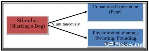 情绪理论 - 知乎