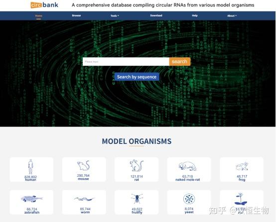 常用网站介绍|circRNA研究常用数据库——circBank（一） - 知乎