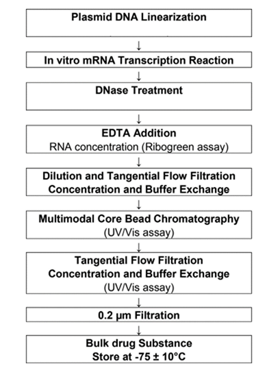 【耀文解读】一文全知道｜GMP标准下mRNA生产平台需求及早期临床样品生产流程 - 知乎