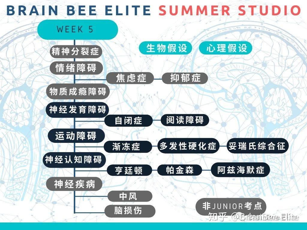 BrainBee脑科学大赛最全攻略就在此了 - 知乎