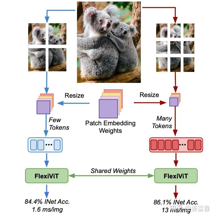 多模态技术梳理：ViT系列（ViT, Pix2Struct, FlexiViT, NaViT ） - 知乎