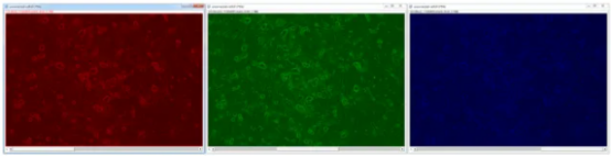 ImageJ——对图片背景进行校正 - 知乎