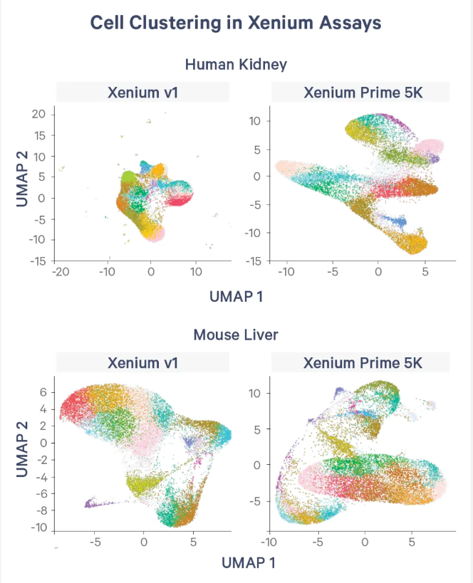 非因生物 亚细胞空间原位技术 Xenium 5K Panel知多少？ - 知乎