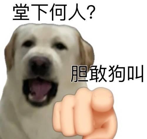 80张最近很火的发疯表情包|精神状态|无水印表情包 - 知乎