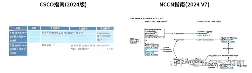 非小细胞肺癌（NSCLC）9大驱动基因：CSCO vs NCCN 治疗指南策略对比分析！附上市及医保报销条件 - 知乎