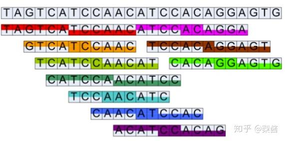 [算法学习 1] 基因组组装算法 De Bruijn Graph - 知乎