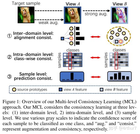 Multi-level Consistency Learning for Semi-supervised Domain Adaptation论文笔记 - 知乎