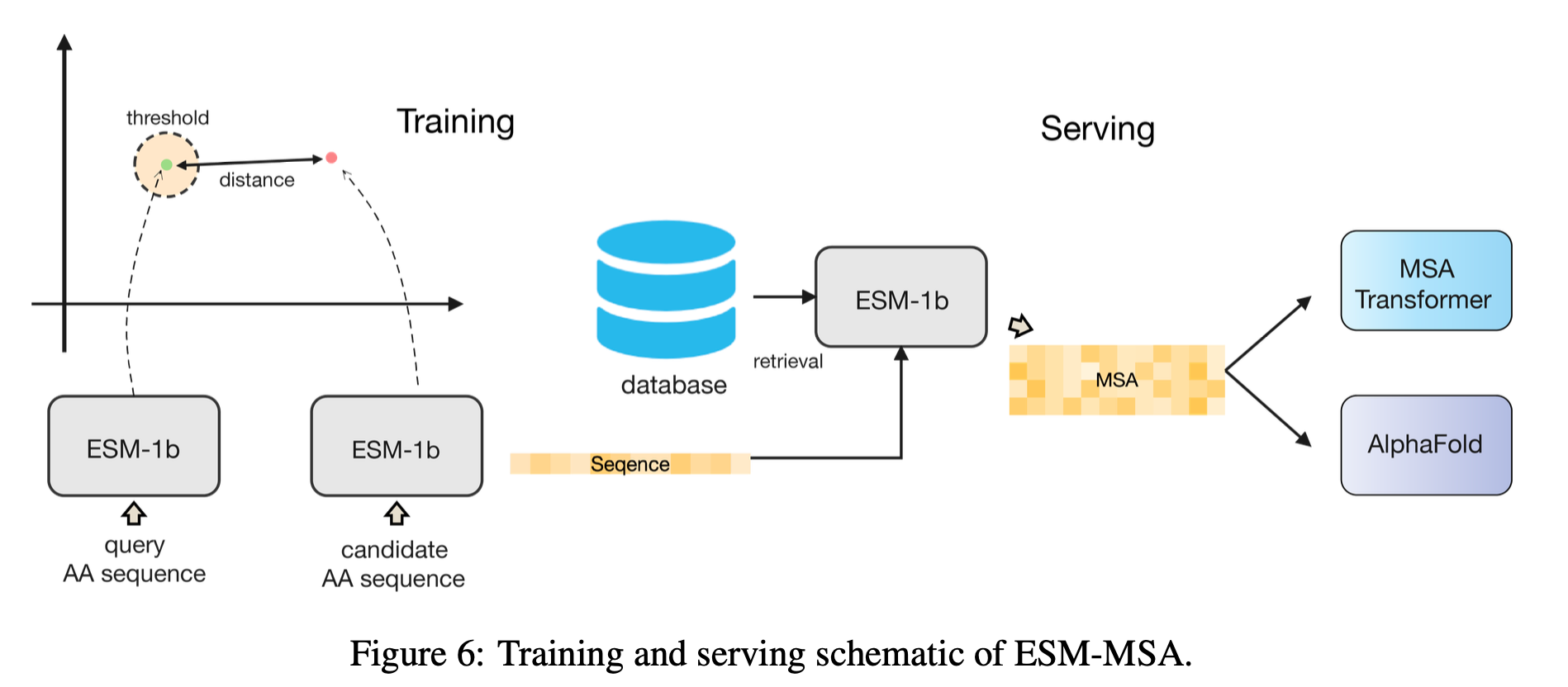 探究蛋白质功能预测水平：Evoformer的表征能力研究 - 知乎