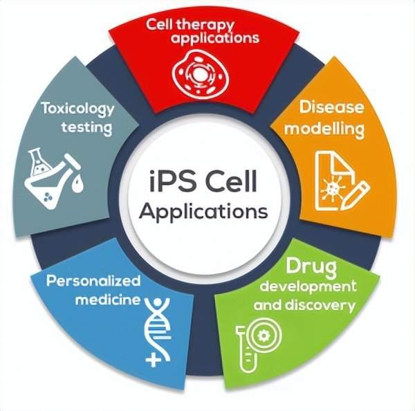 逐典分享丨iPSC商业简史：年轻赛道正在缔造医学神话 - 知乎