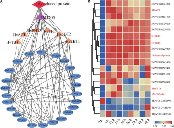 项目文章 | FRONT PLANT SCI&ChIP-seq助力揭示青稞对白粉病的抗性机制 - 知乎