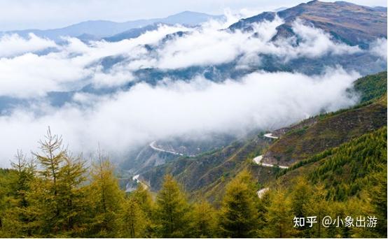 山西5A景区五台山风景区（AAAAA）旅游攻略 - 知乎