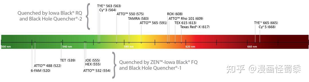 【评测】IDT发布ZEN 或 TAO 双淬灭探针 - 知乎