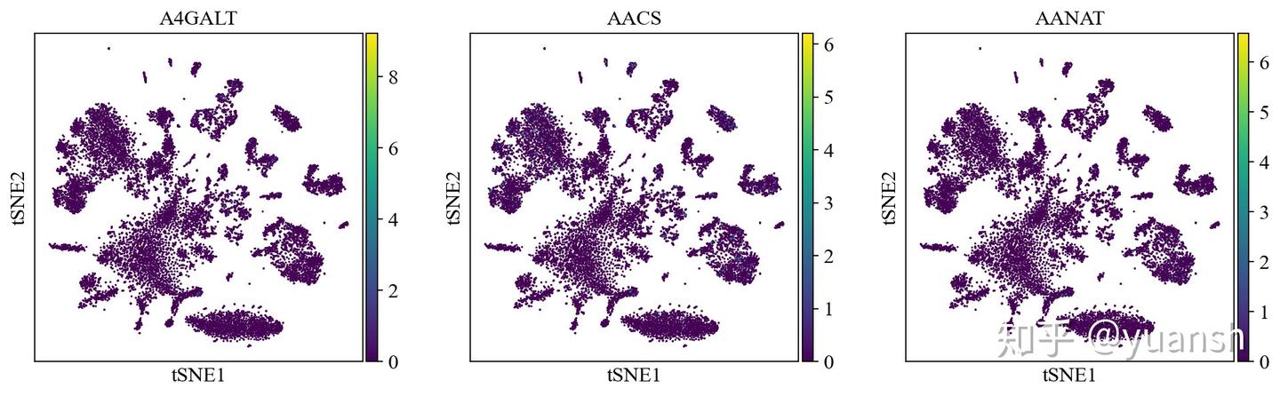 （单细胞-SingleCell）Scanpy流程——python 实现单细胞 Seurat 流程 - 知乎