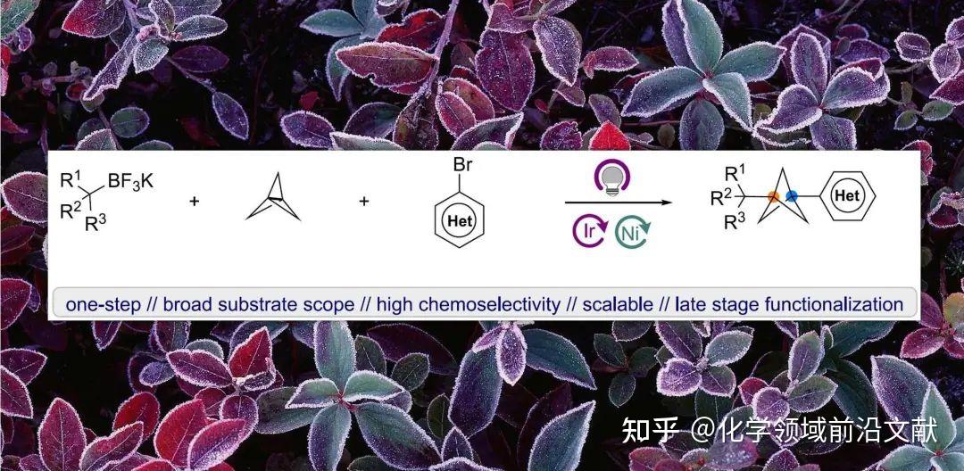 Molander小组JACS：镍/光氧化还原双催化[1.1.1]螺桨烷的双碳官能化合成芳基化双环[1.1.1]戊烷 - 知乎