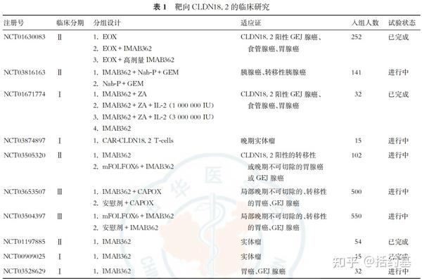 与CLDN18.2靶点相关的研究进展 - 知乎