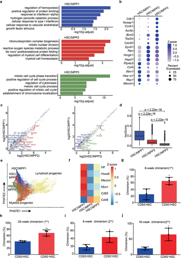 Cell Research | 单细胞时空转录组技术鉴定胎肝中HSC/MPP扩增单位 - 知乎