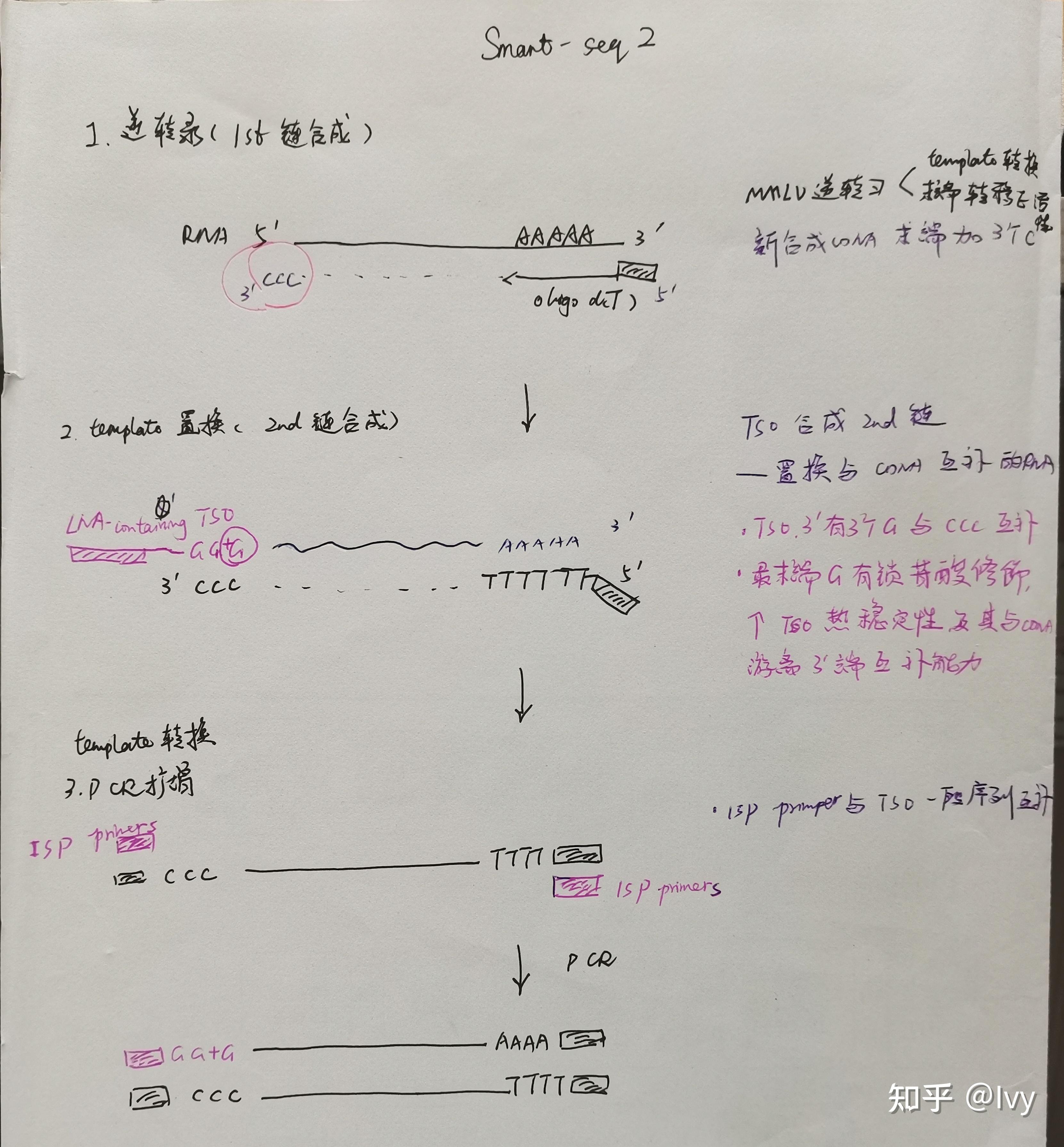 Smart-seq2原理 - 知乎