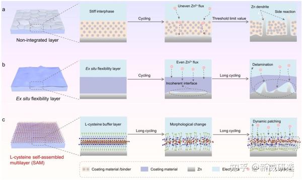 学术前沿|EES：动态自愈SEI助力长寿命水系锌离子电池 - 知乎