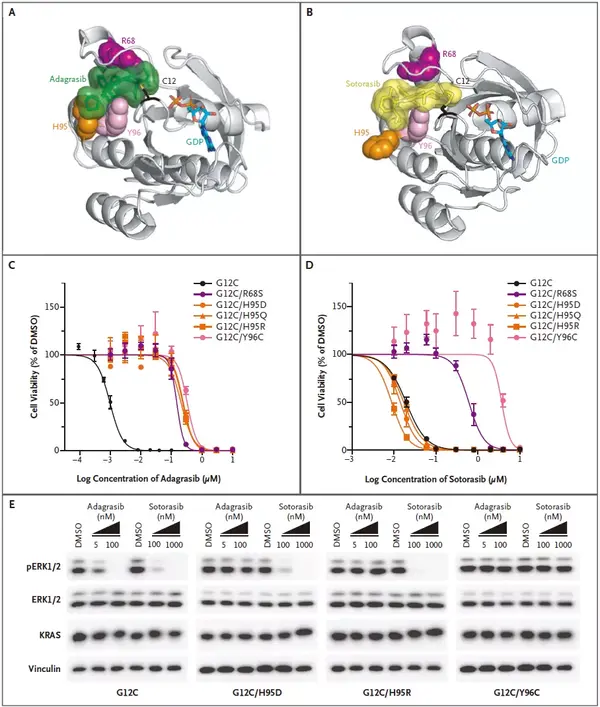 新型KRAS抑制剂tricomplex或有望破解KRAS-G12C耐药难题 - 知乎
