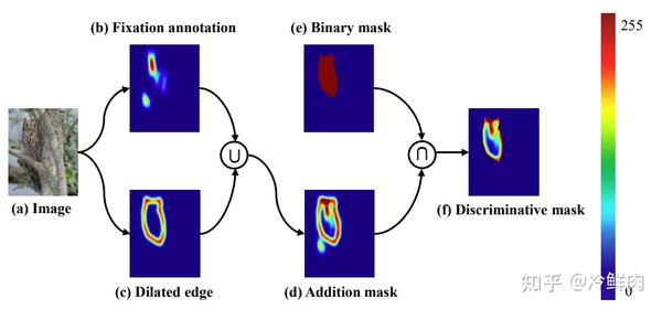 Segment, Magnify and Reiterate: Detecting Camouflaged Objects the Hard Way - 知乎